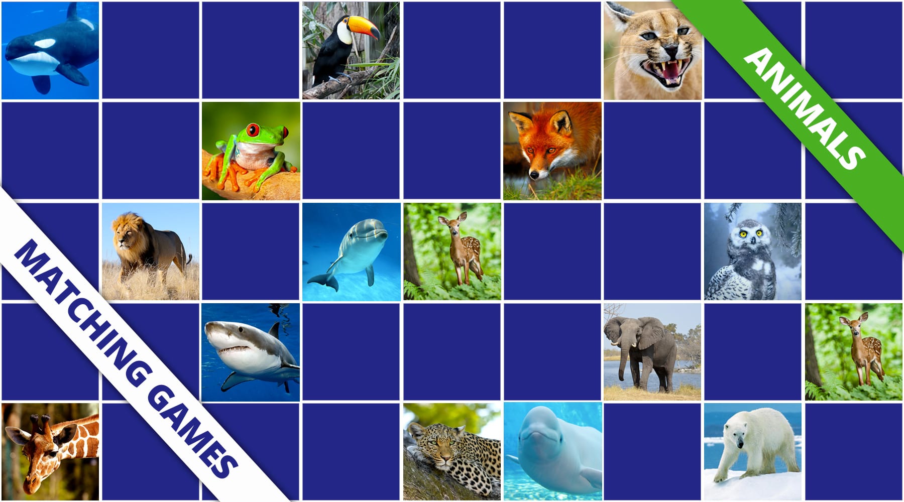 Animals Memory Games Online And Free Games Memozor Animals Memory Games Online And Free Games Memozor