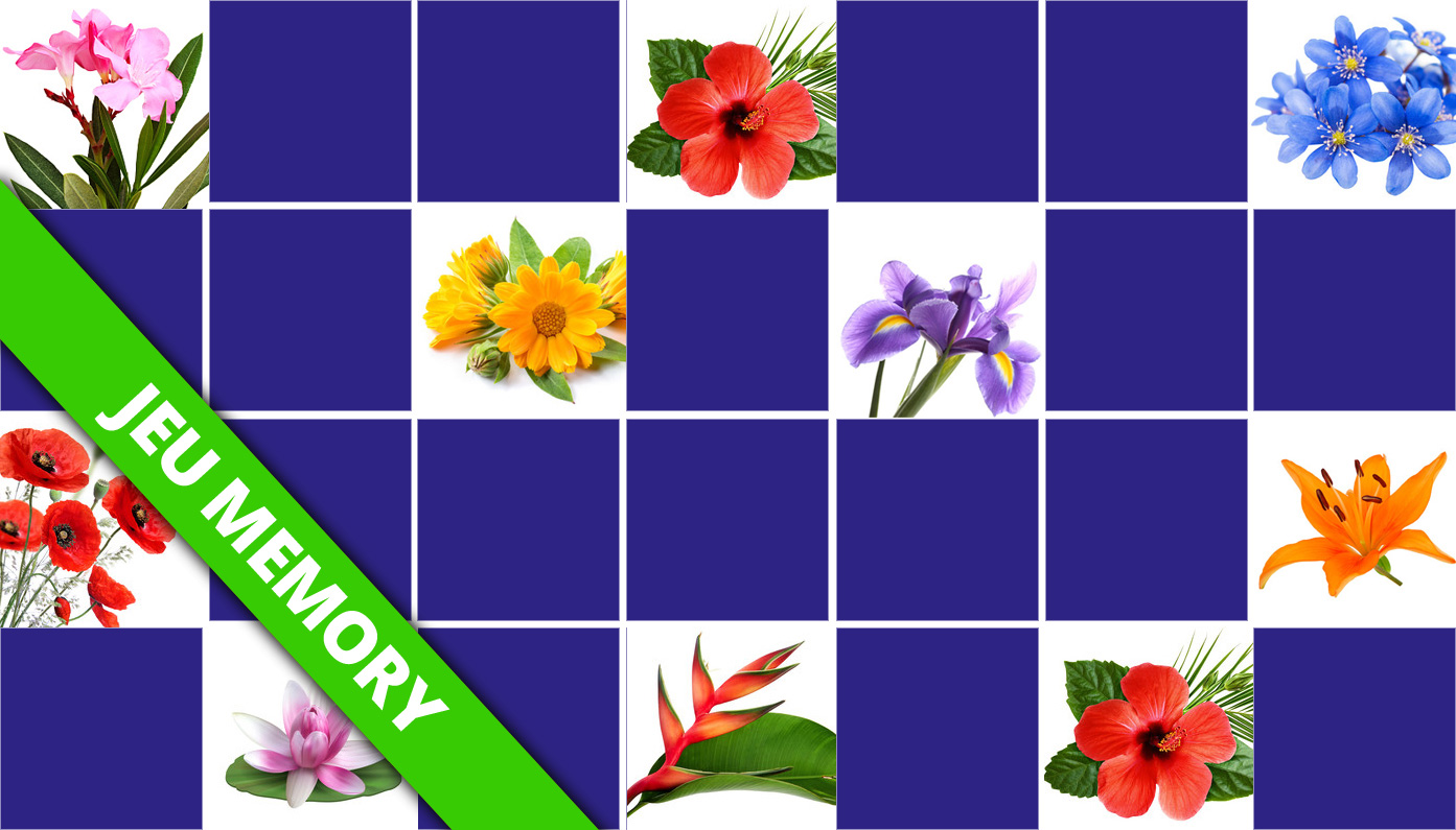 Jeu Memory Pour Seniors Fleurs En Ligne Gratuit Memozor