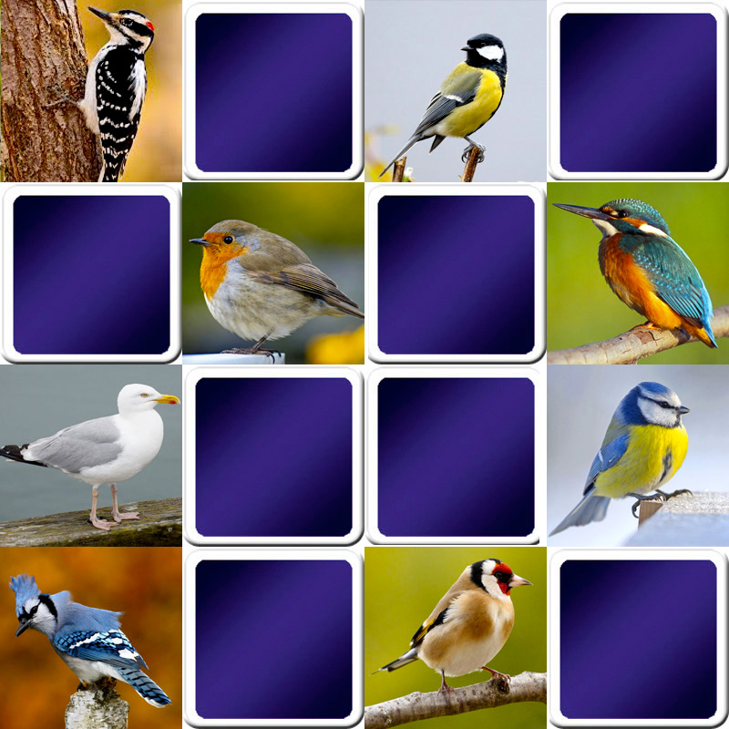 Jeu de memory adulte - Les Oiseaux communs - en ligne et gratuit | Memozor Jeu de memory adulte - Les Oiseaux communs - en ligne et gratuit | Memozor